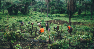 Training Calendar - RedR UK